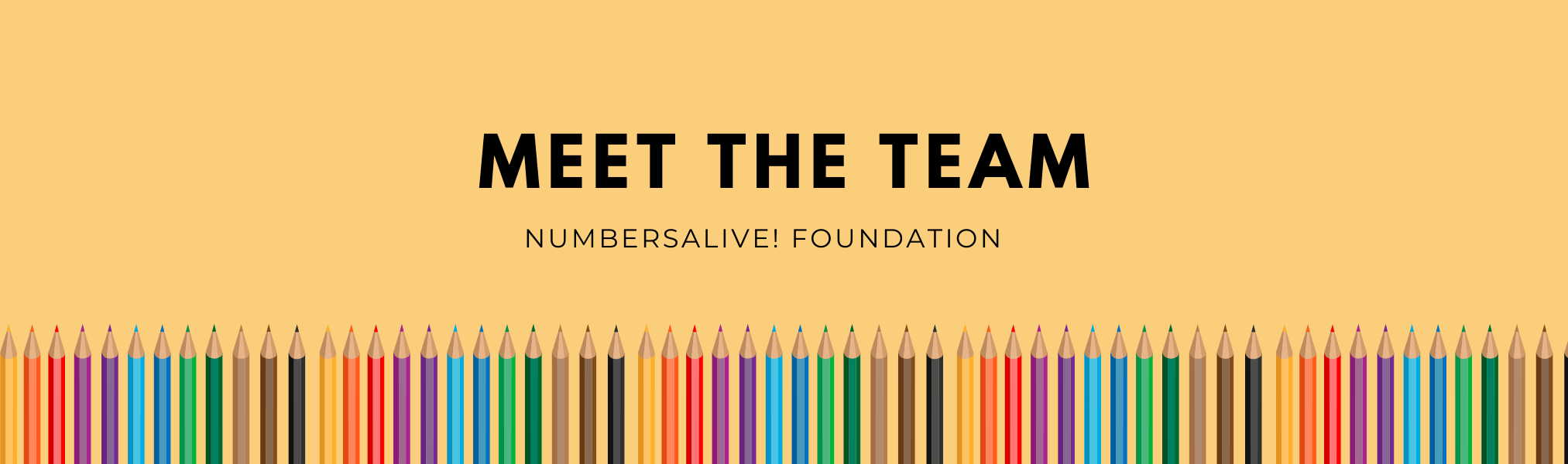 Meet The Team | NumbersAlive! Foundation
