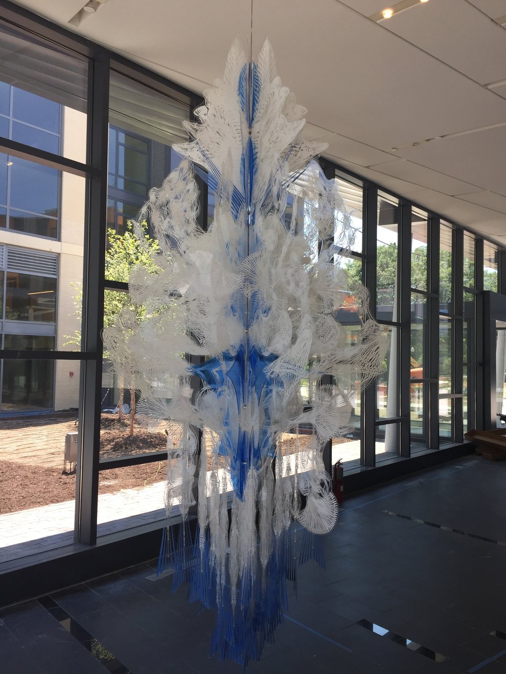 Zoopsia – Susan Chrysler White | NumbersAlive! Foundation